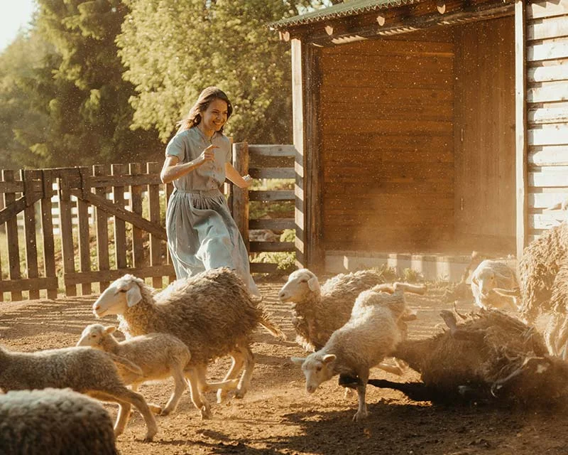 Our Events - BoreCharger